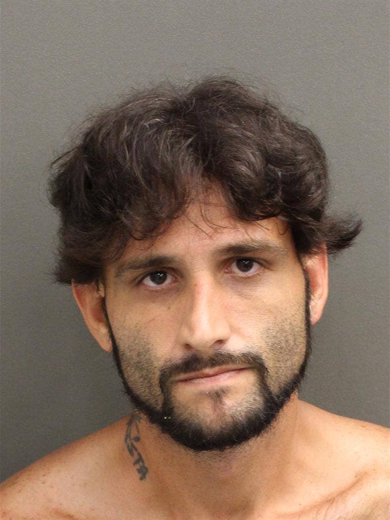 Florida deputies find alligator in backseat of alleged burglar's ...