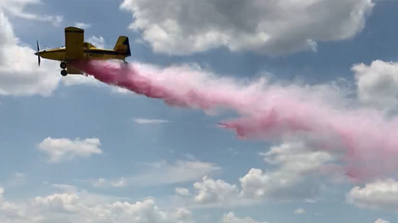 Couple uses airplane water trail for dramatic baby gender reveal | Fox News