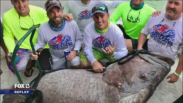 Florida firefighter catches 409-pound fish | Fox News