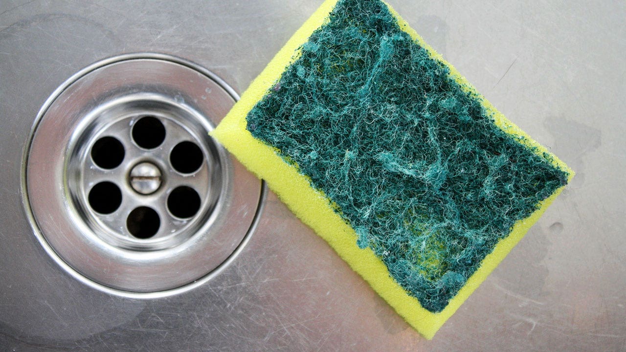 3 way to clean a sponge effectively, according to experts | Fox News