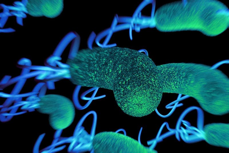 Europeans brought new, deadly ulcer bacteria to Americas | Fox News