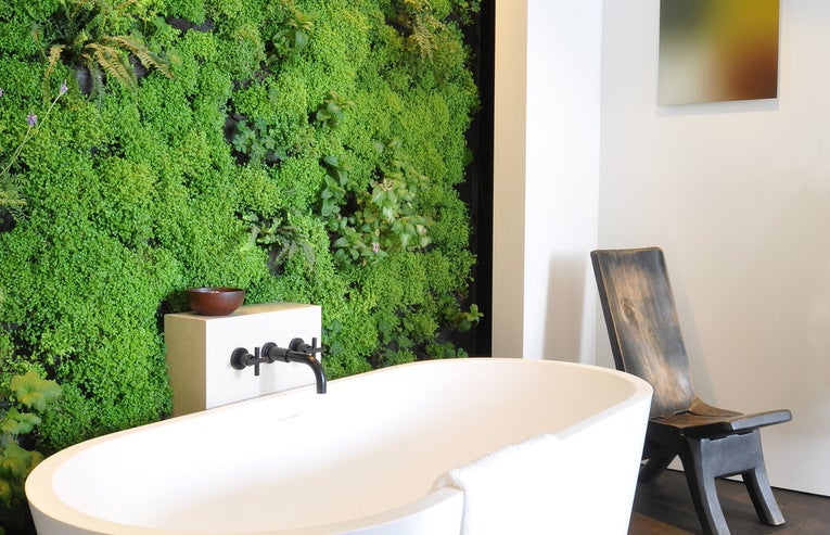 How to add a living wall | Fox News