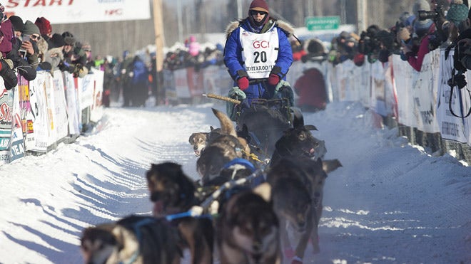 Iditarod dogs reach checkpoint after sleeping musher falls off sled ...
