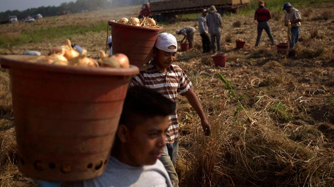 Kansas Seeks Waiver for Undocumented Workers to Solve Farm Crisis | Fox ...