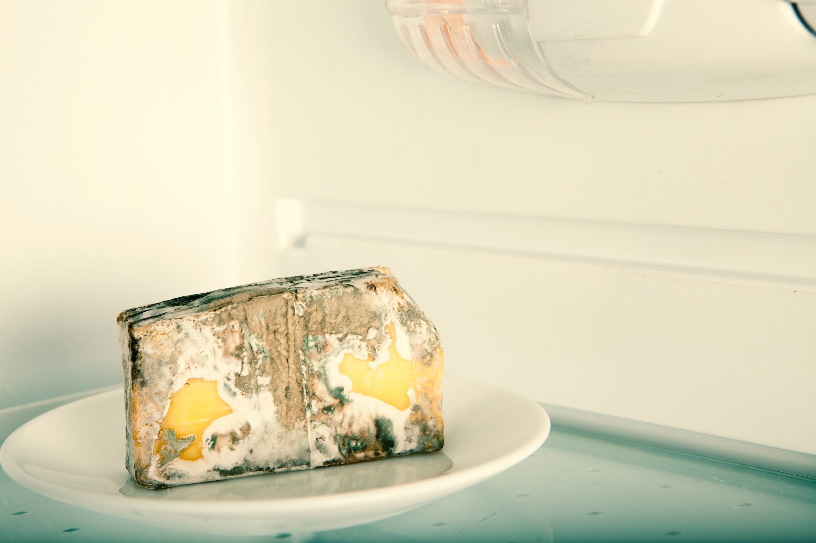 How bad is it to eat cheese with mold on it? | Fox News