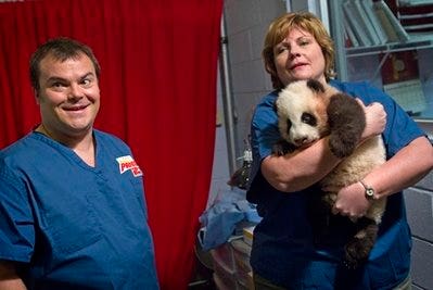 Jack Black Names U.S.-Born Giant Panda After 'Kung Fu Panda' Character ...