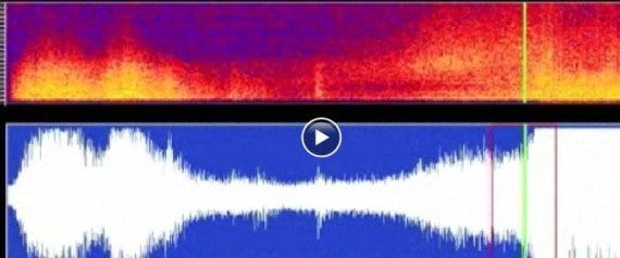 What the Devastating Japanese Earthquake Sounded Like | Fox News