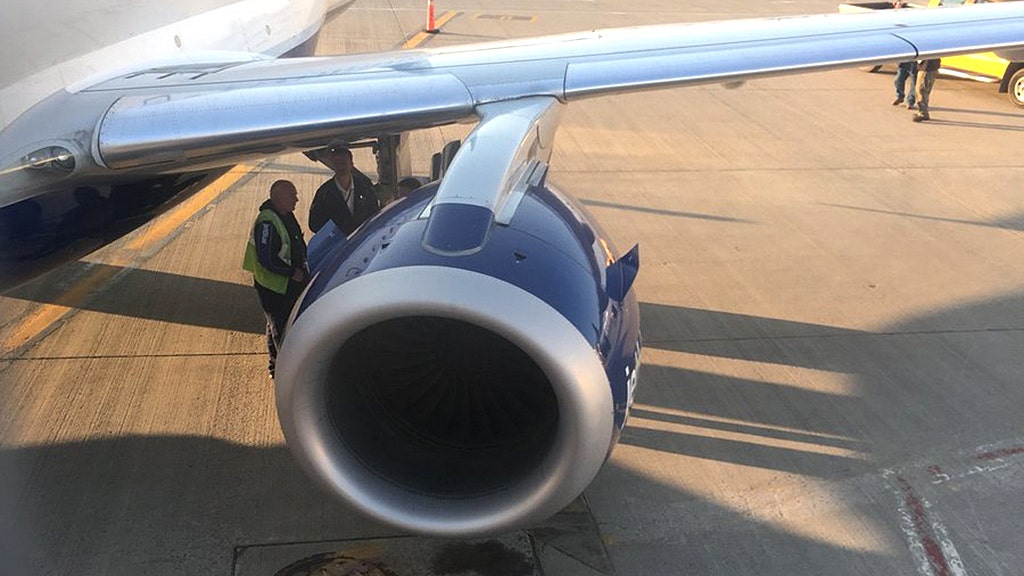 JetBlue flight makes emergency landing after striking bird; passenger ...