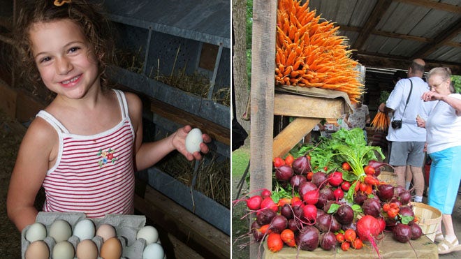 Taking the Kids -- and staying on a farm | Fox News