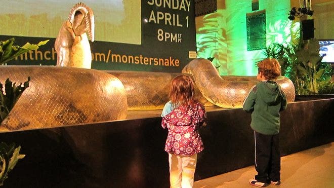 Titanoboa! 45-foot-long prehistoric snake amazes NYC | Fox News