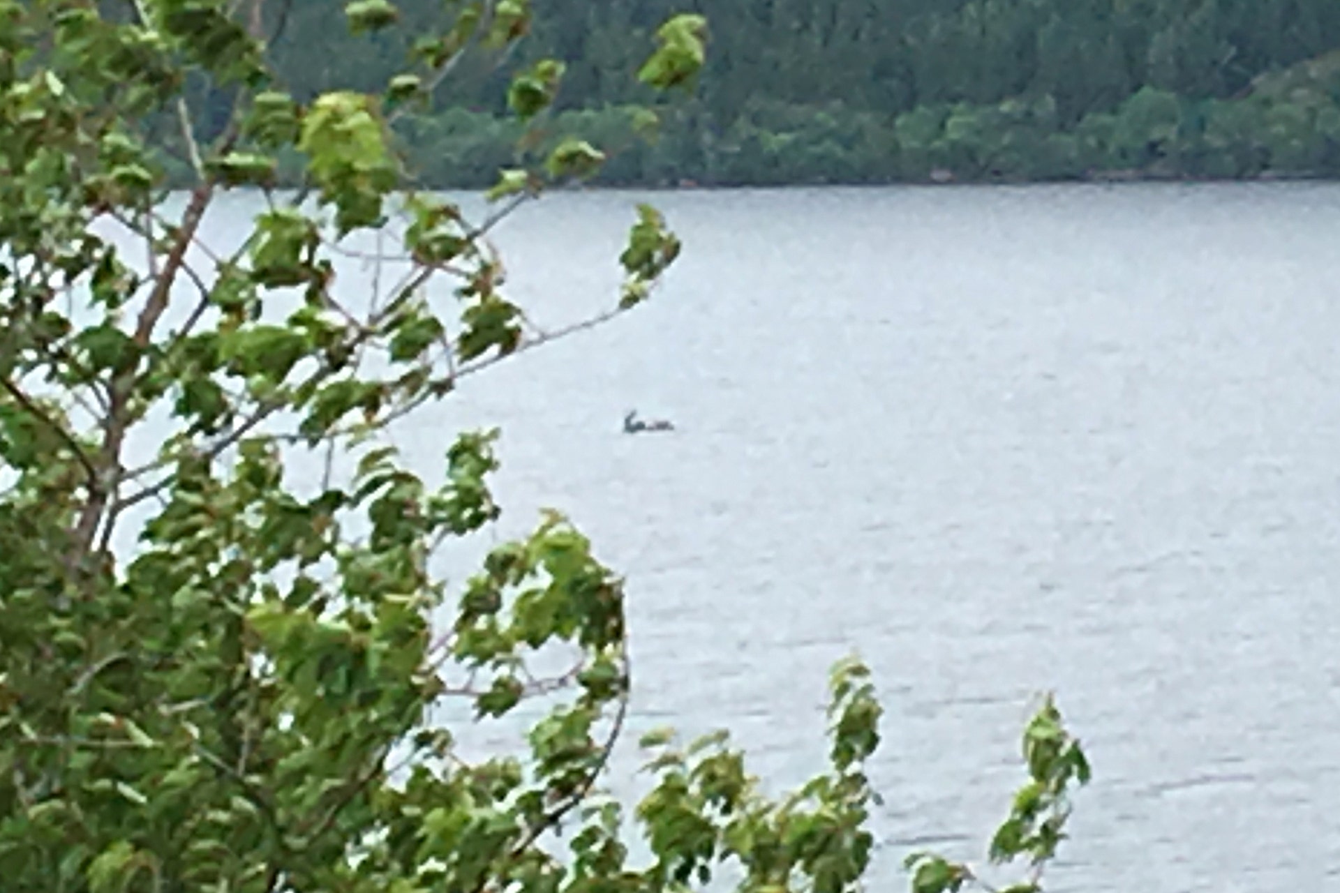Loch Ness monster spotted? Tourists' photo sparks debate | Fox News