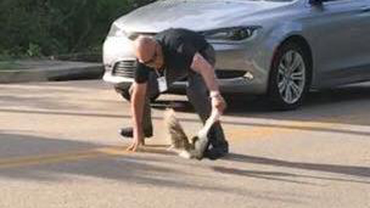 Missouri deputy comes to aid of stuck skunk | Fox News