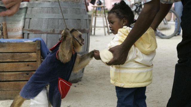 Kentucky bill would let service monkeys help paralyzed people | Fox News
