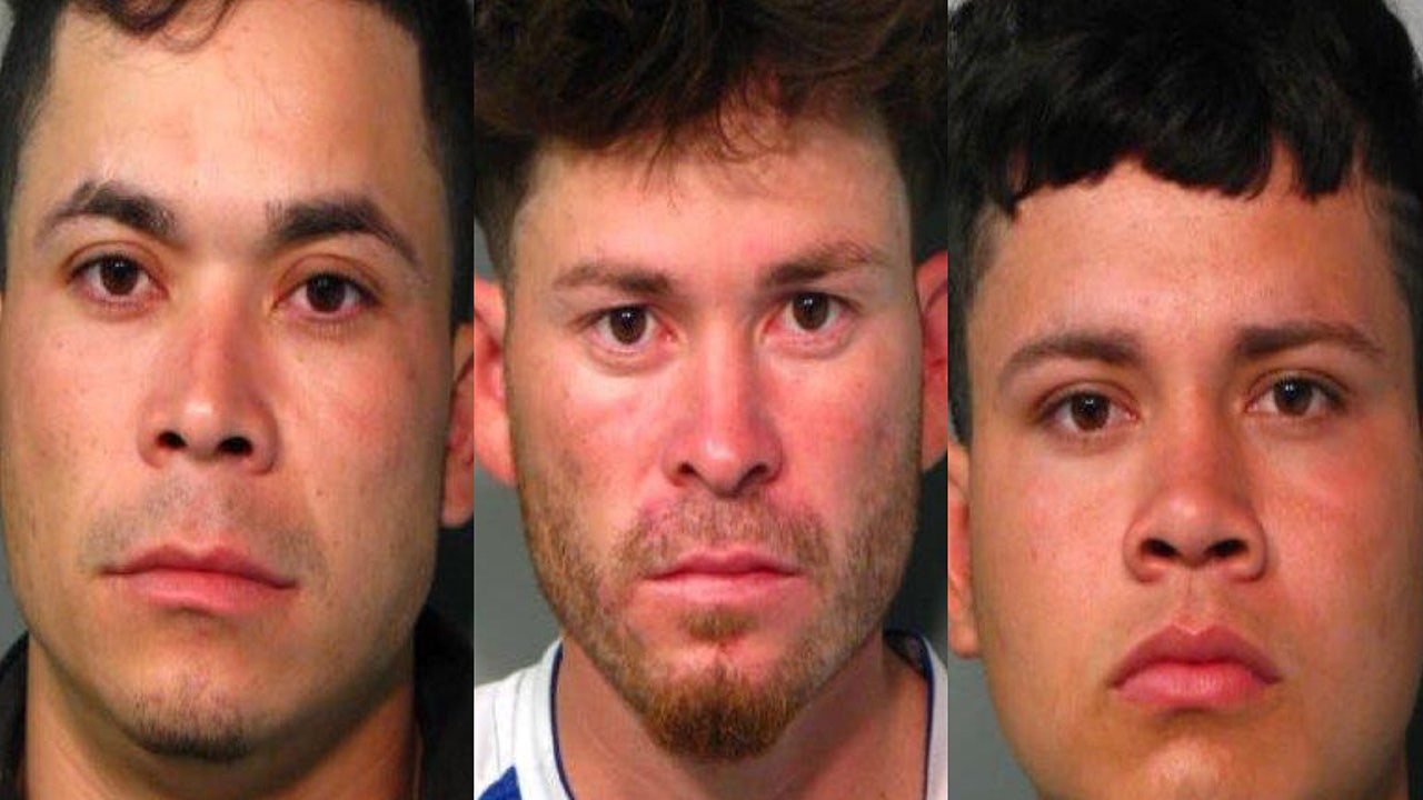 MS-13 gang members charged in machete attack in New York, police say ...