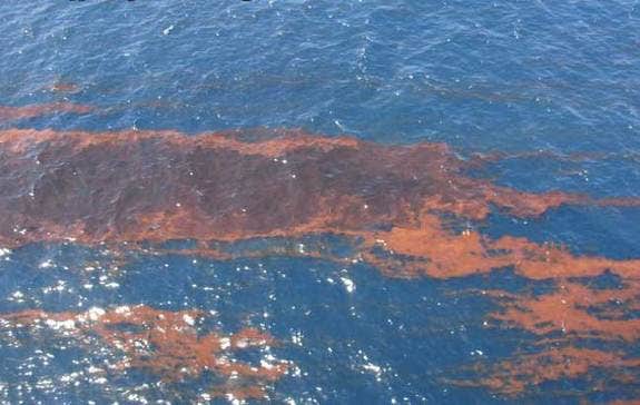 Dispersant Makes Oil 52 Times More Toxic | Fox News