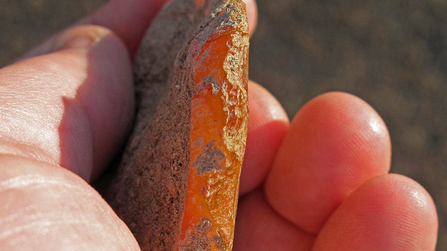 Oregon Prehistoric Stones