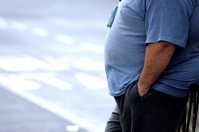Obese South African 'too fat' for New Zealand | Fox News