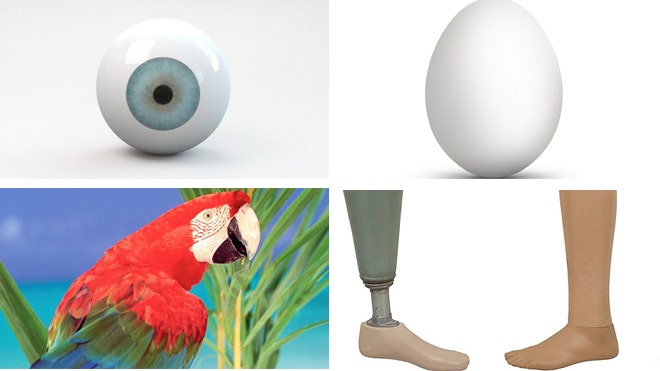 From parrots to a glass eye, survey reveals bizarre items left on ...