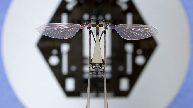 Tiny pop-up robots combine origami and insects | Fox News