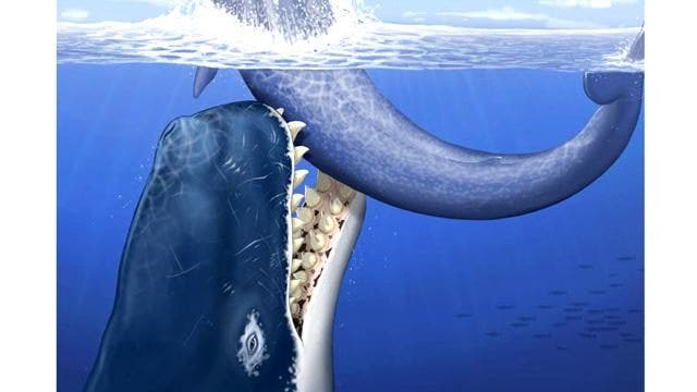 Ancient Sea Monsters | Fox News