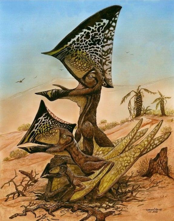 Flock of ancient 'butterfly-headed' flying reptiles discovered | Fox News