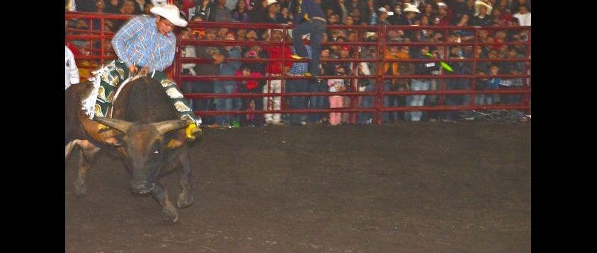 Let's Go to the Mexican Rodeo…in The Bronx? | Fox News