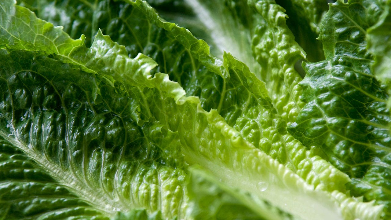 Experts warn against romaine after E. coli outbreak in US and Canada ...