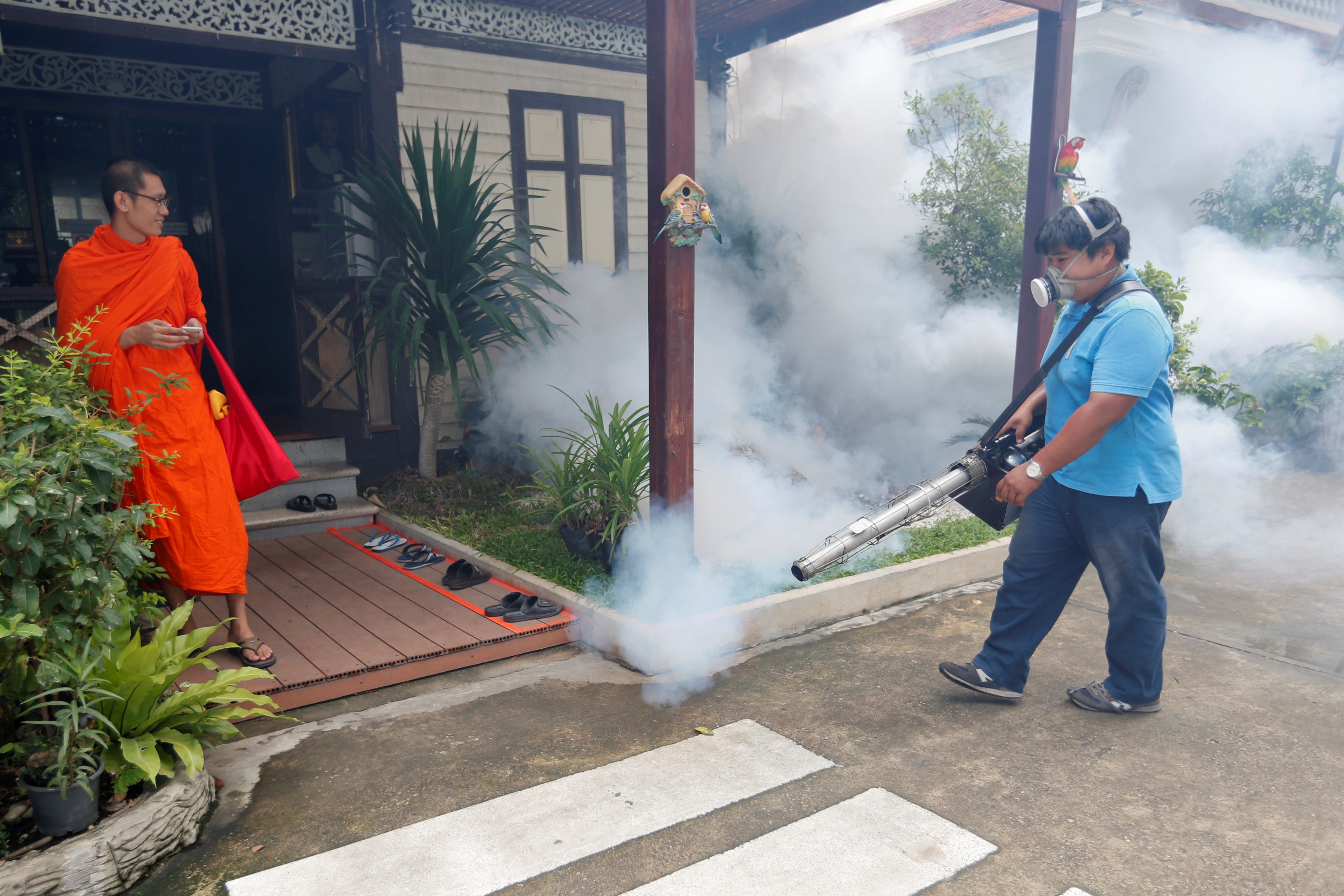 Abortion legal in Thai birth defect cases linked to Zika, officials say ...