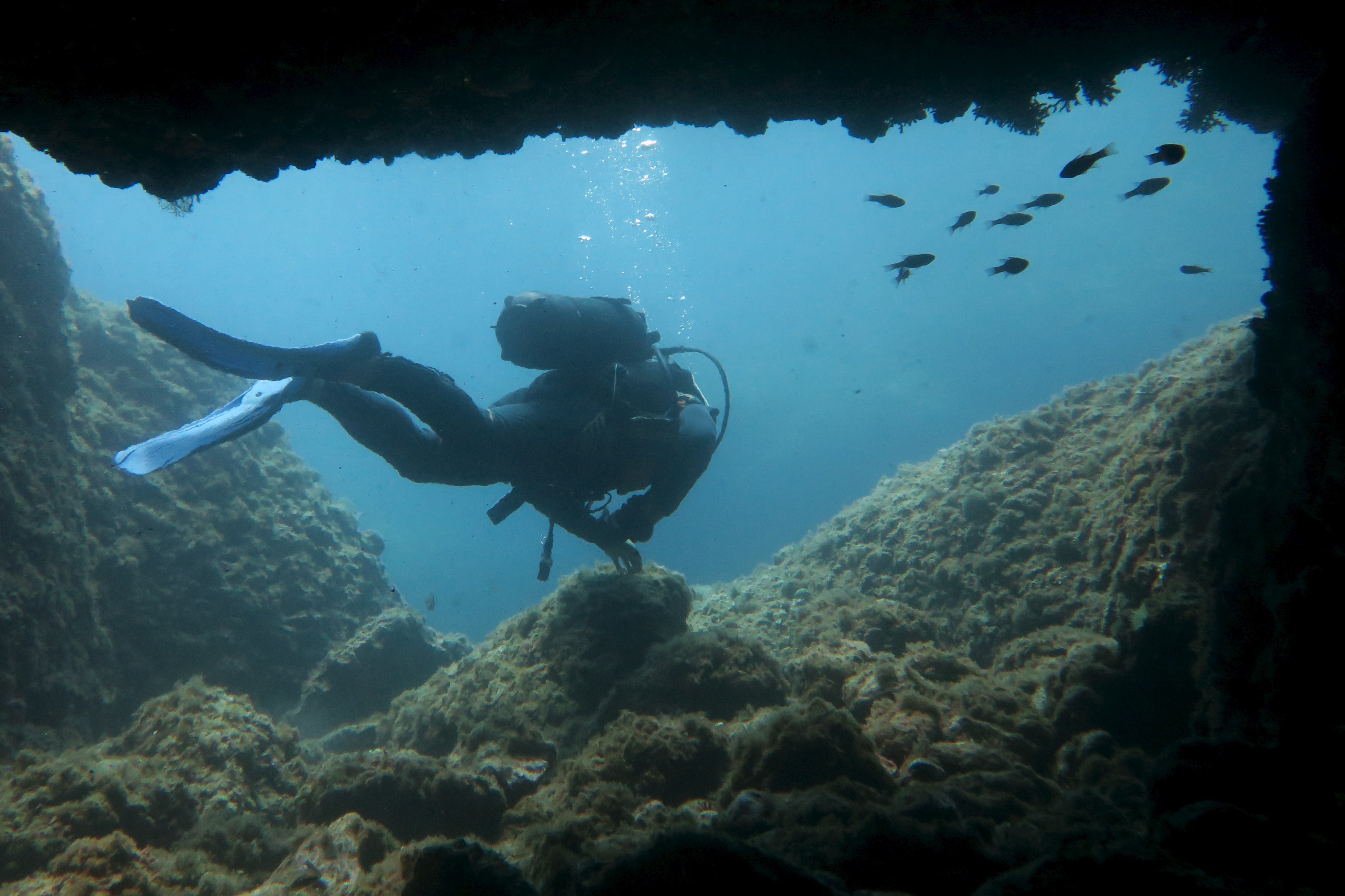 Never be out of range: Research could make texting while scuba diving ...