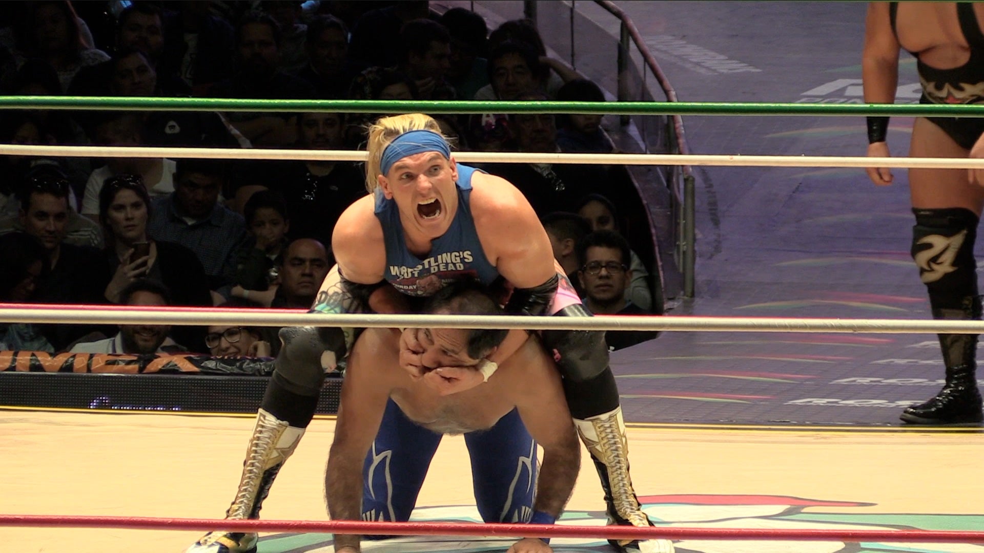 US wrestler strikes gold by making Trump the 'villain' in lucha libre ...