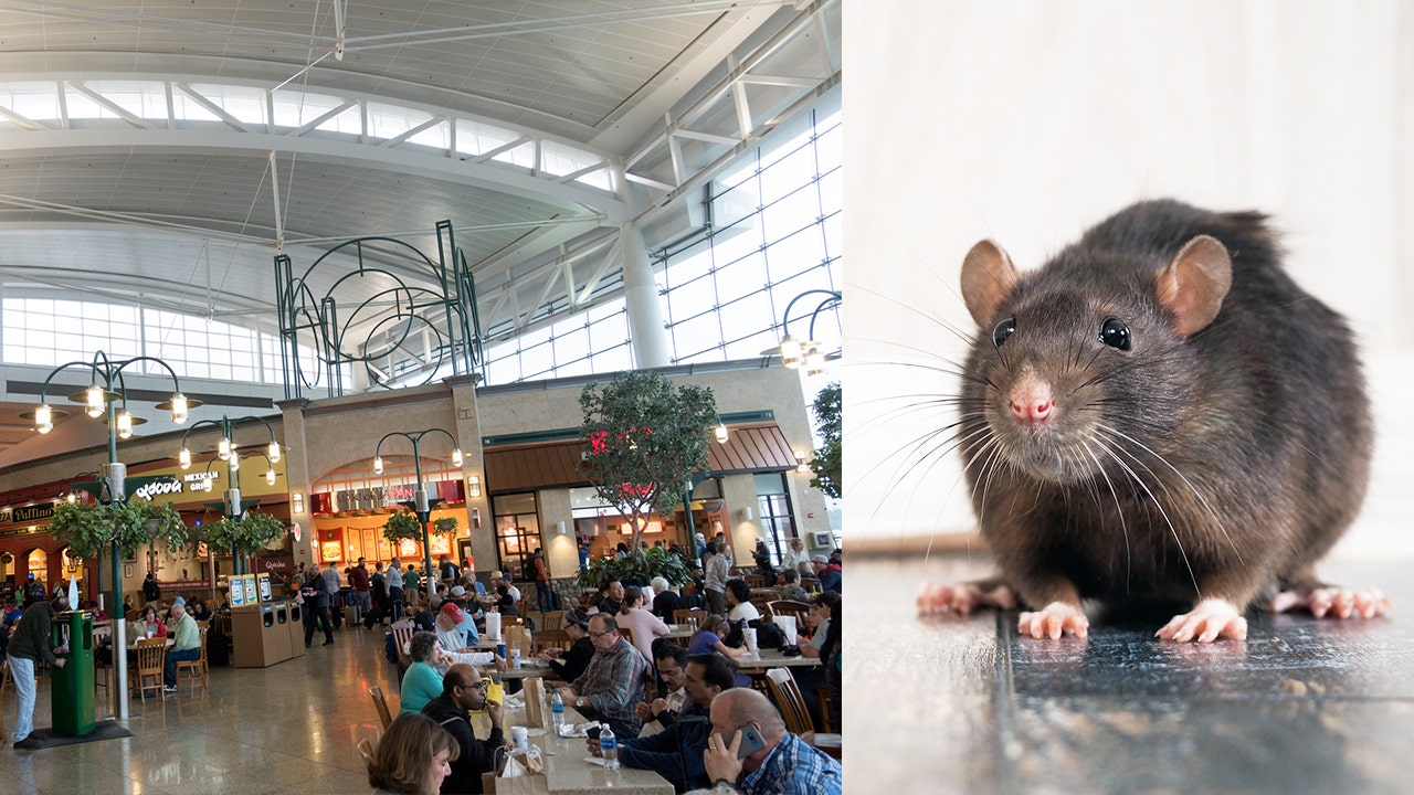 SeaTac Airport battling rat infestation | Fox News