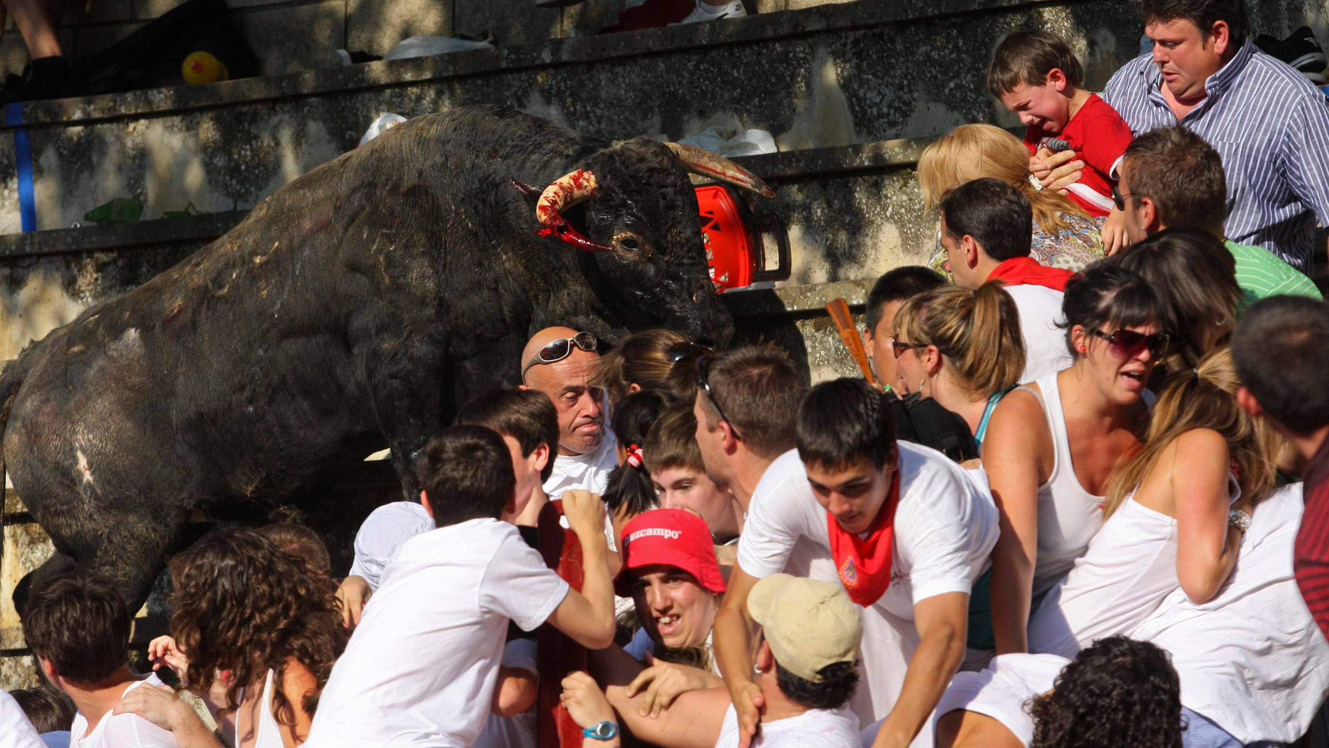 Leaping Bull Injures 40 People in Spain | Fox News