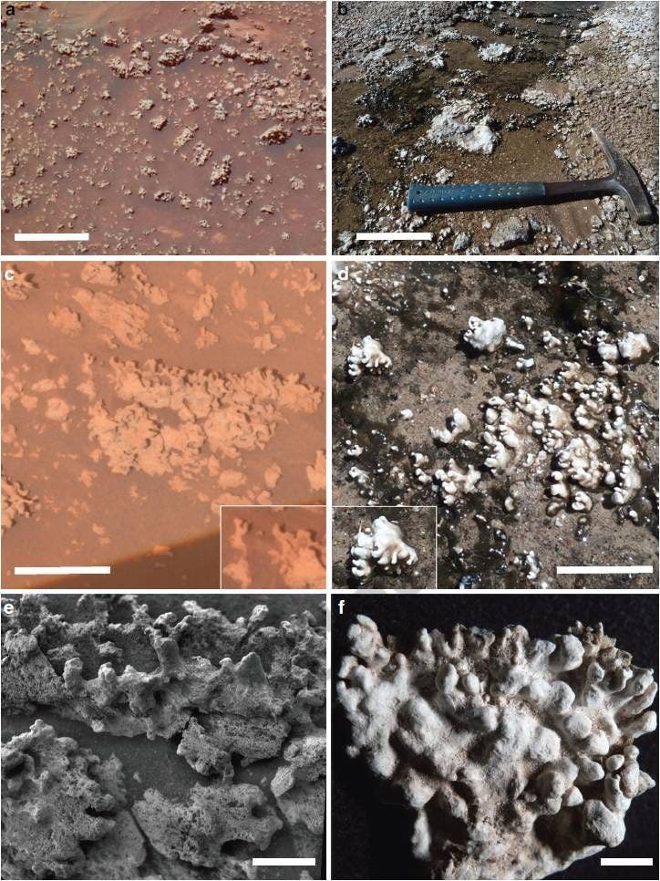 Did NASA Mars Rover find a signature of past life? | Fox News