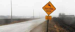 'Suicidal deer' sign making drivers take notice | Fox News