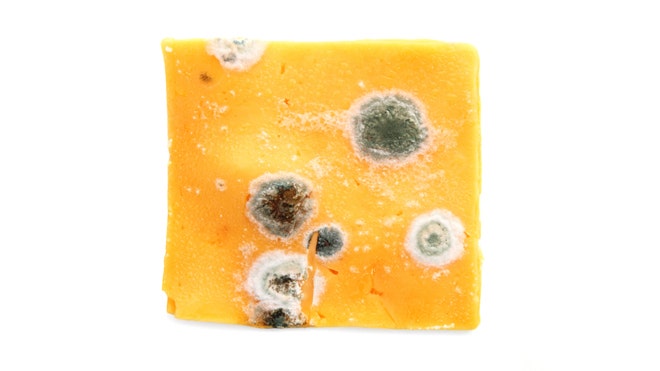 How to tell if food is too moldy to eat | Fox News