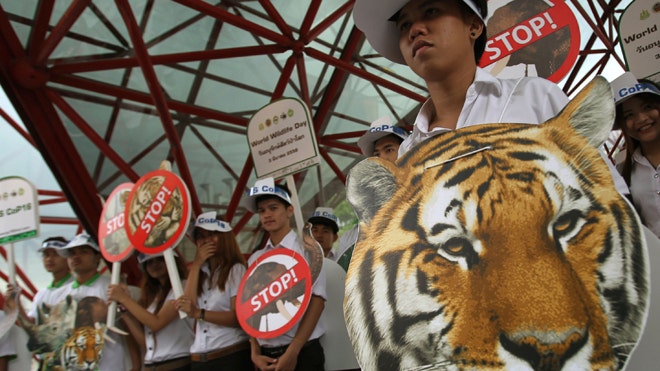 UN environment chief calls for clampdown on illegal wildlife trade