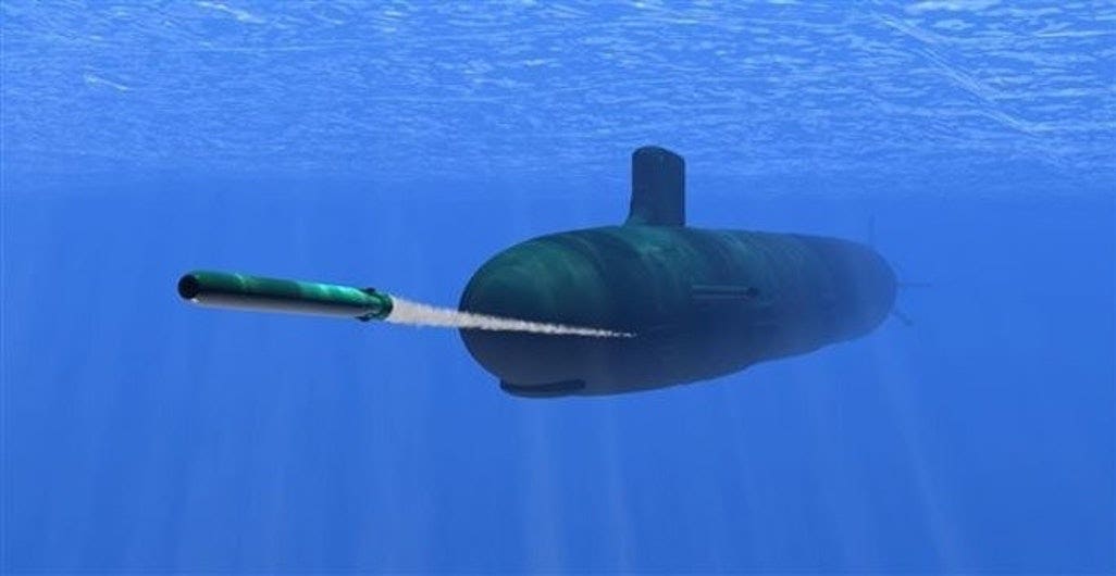 Navy pursues new long-range, stealthy and precise Mk 48 heavyweight ...