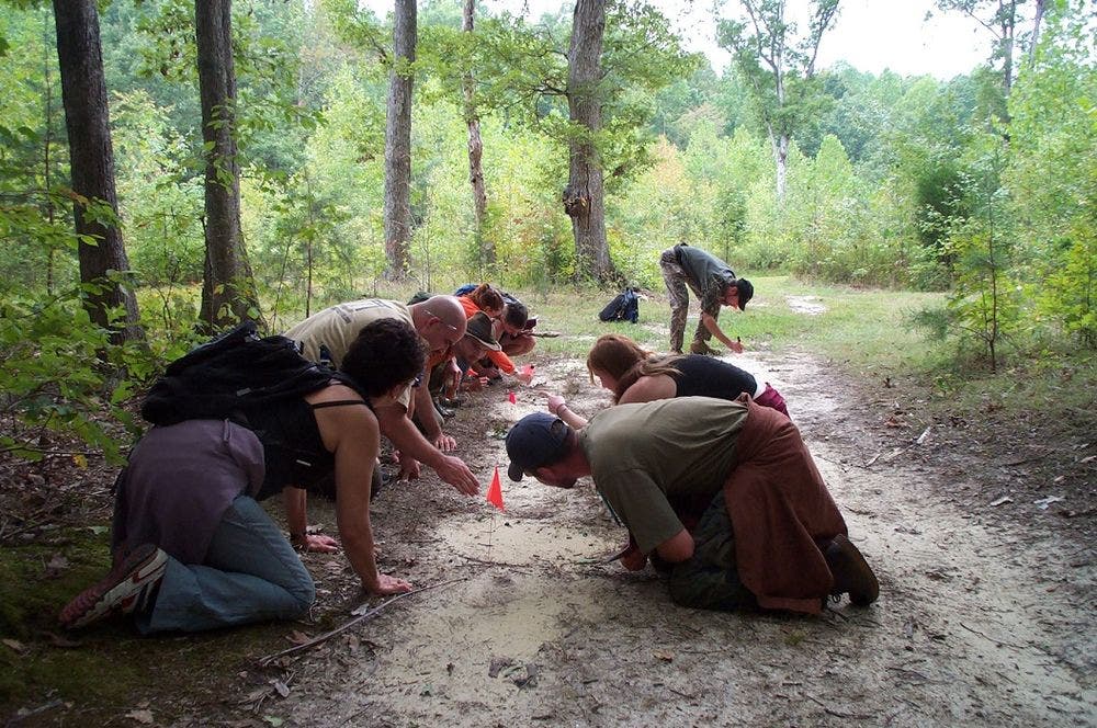 5 ways to track wild animals (apart from hoof or paw prints) | Fox News