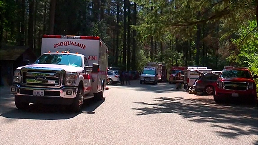 Tree falls in Washington's Twin Falls State Park, injuring 3 | Fox News