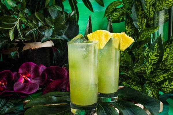 Tropical Refresher | Fox News