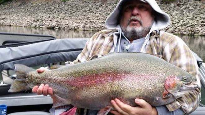 28-pound rainbow trout caught in northern Idaho would have been record ...