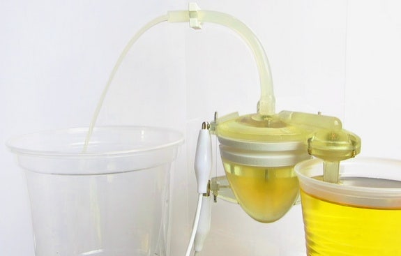 Your pee could power future robots | Fox News