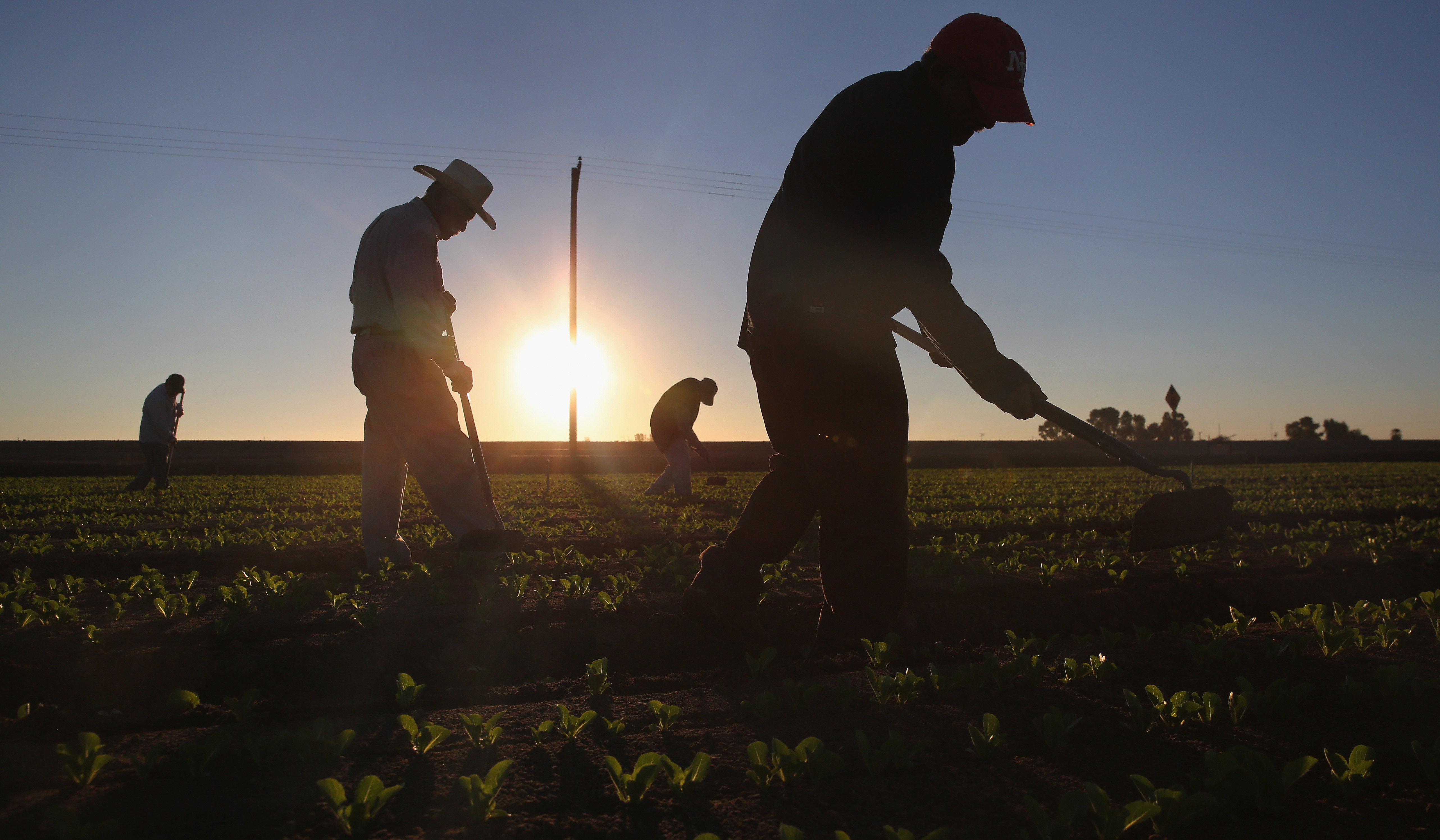 Labor officials penalize NJ farm for rejecting Puerto Rican workers in ...