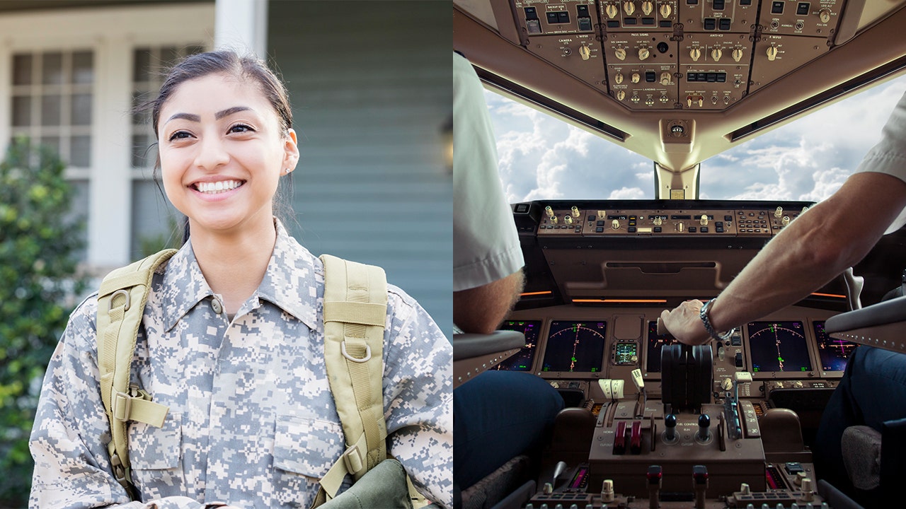 Government's 'Forces to Flyers' program trains veterans to become ...