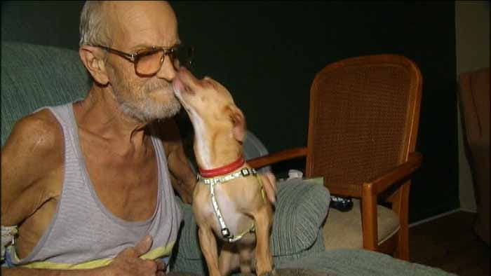 Dying Vietnam Veteran Reunited With Lost Dog Fox News