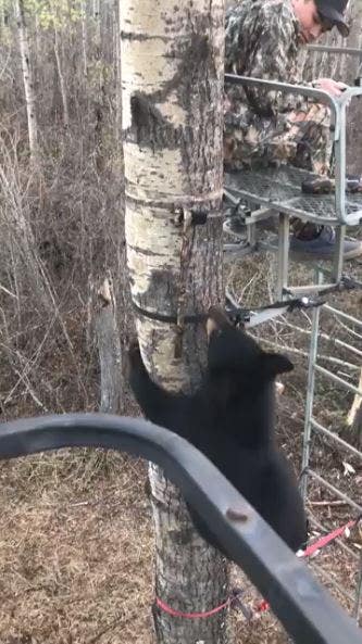14-year-old hunter's encounter with bear cub goes viral | Fox News