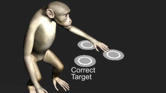 Monkeys Use Minds to Control Computer | Fox News