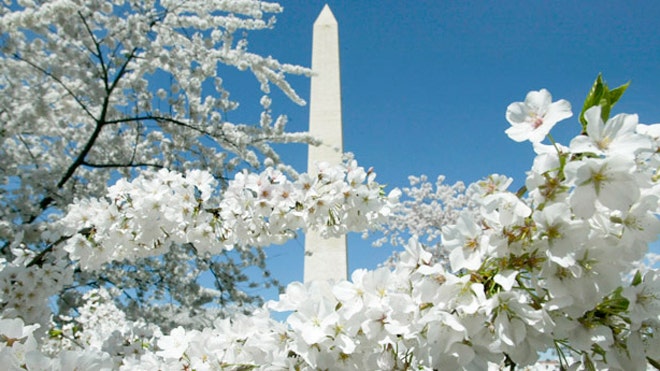 20 best-kept secrets of Washington, DC | Fox News