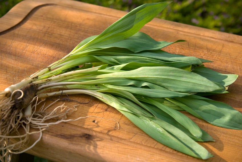 Ramps and other produce you can only find during spring | Fox News