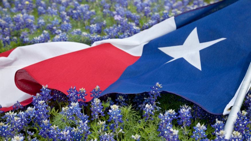 The most beautiful places in Texas | Fox News